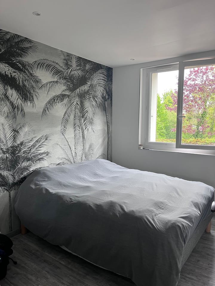 Appartement Vire - Vire