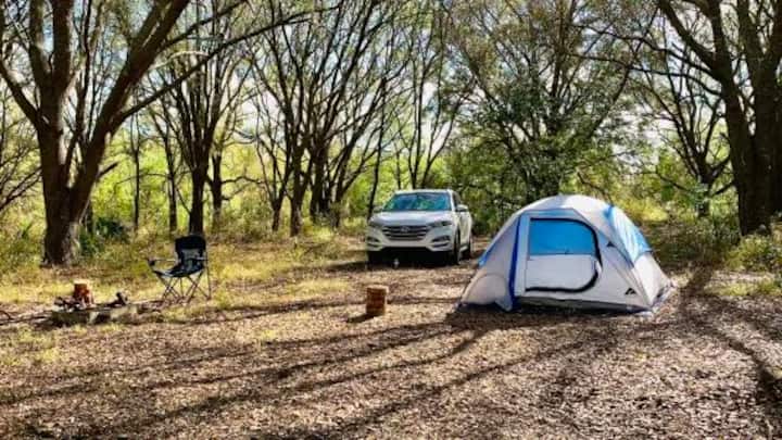 Camping Sites
In Gods Forest - Groveland, FL