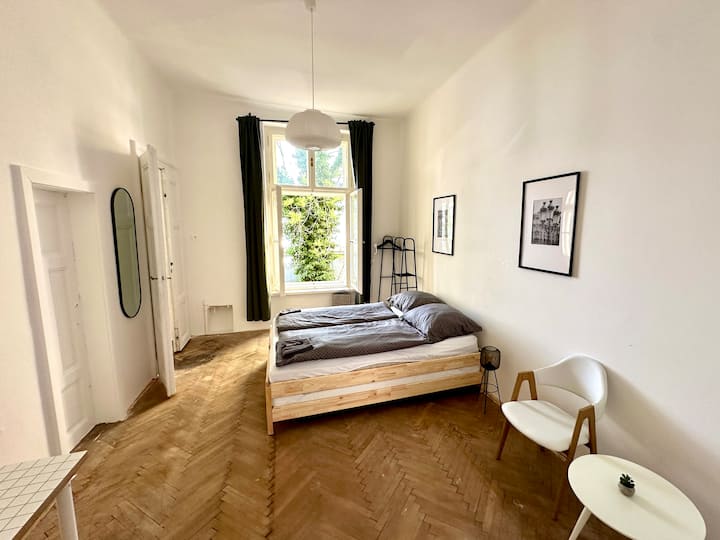 Large And Cozy Vinohrady Apartment - 4 Bedrooms! S - Praga