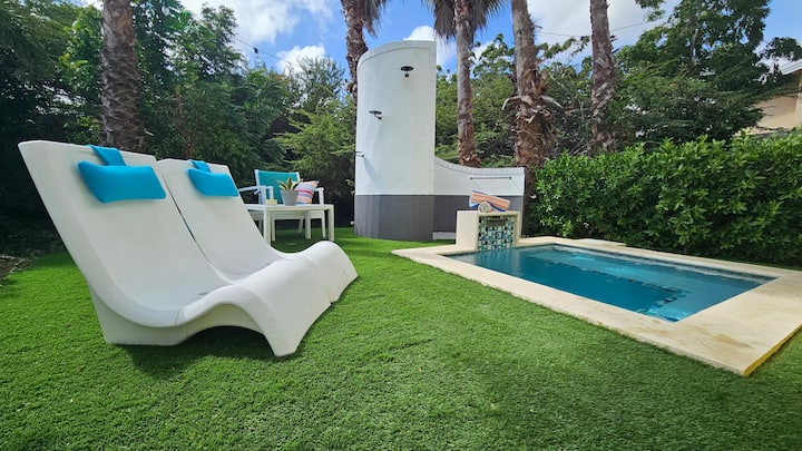 New 1 Bdrm Apt / Pvt Pool / King Bed / Washer - Aruba