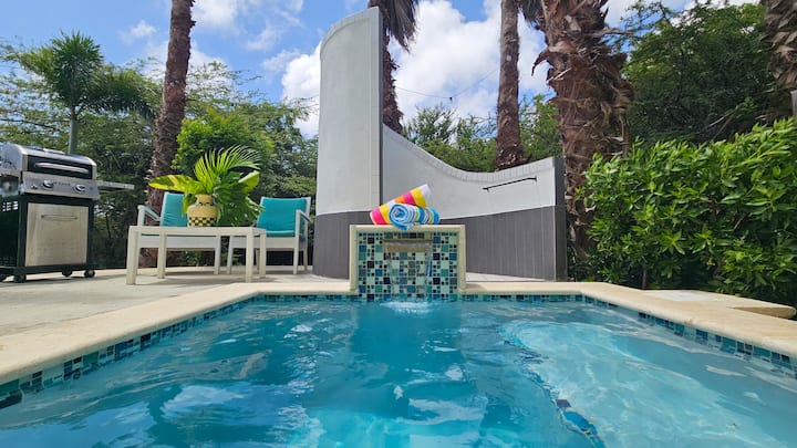 New 1 Bdrm Apt / Pvt Pool / King Bed / Washer - Aruba