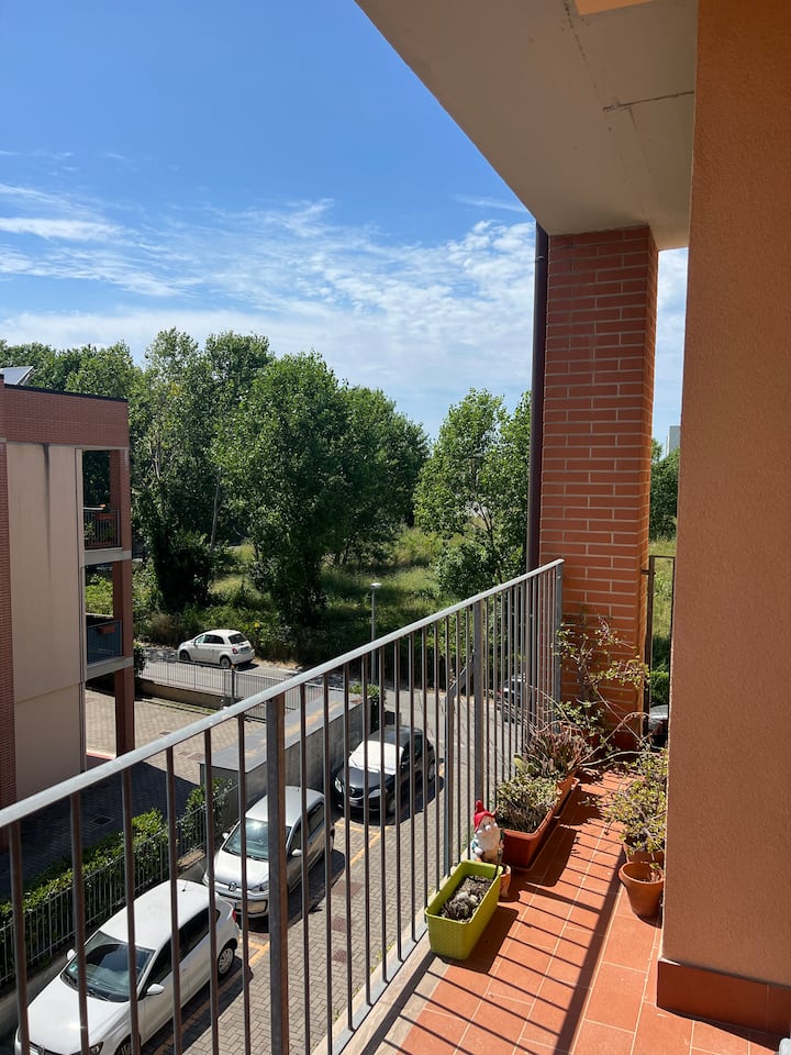 Aria - Pisa
