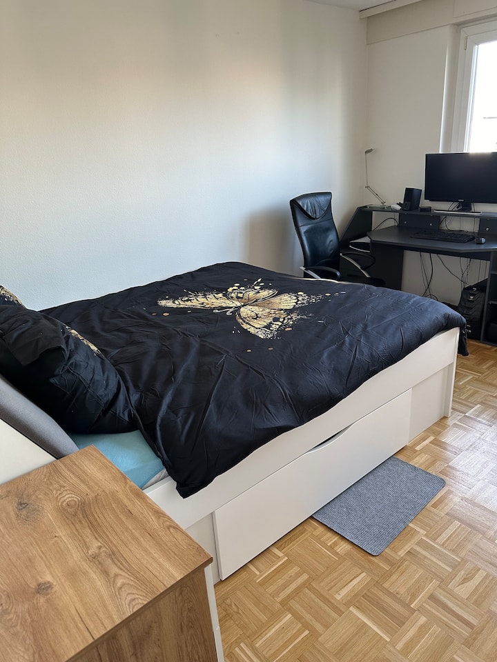 Chambre à Louer - Fribourg
