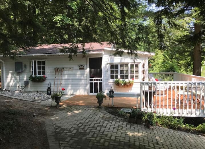 Cozy Cabin On Bass Lake. Ohio Cabin - Interlochen, MI
