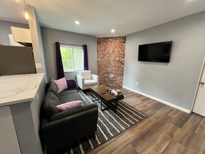 Colorburst Condos - Purple Unit - Pittsburgh