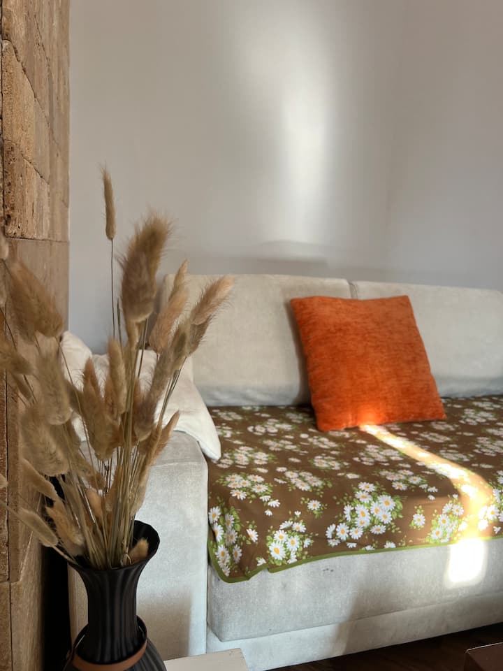 Big Apartment In The Center/2br - Baku