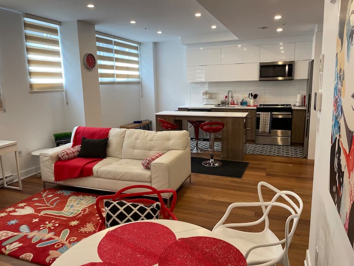 Unique 3 Bdr Downtown -  Parking In Option - Montreal