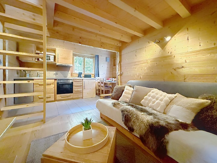 Très Beau Mazot Face Au Mont Blanc, Wifi, Linge - Combloux