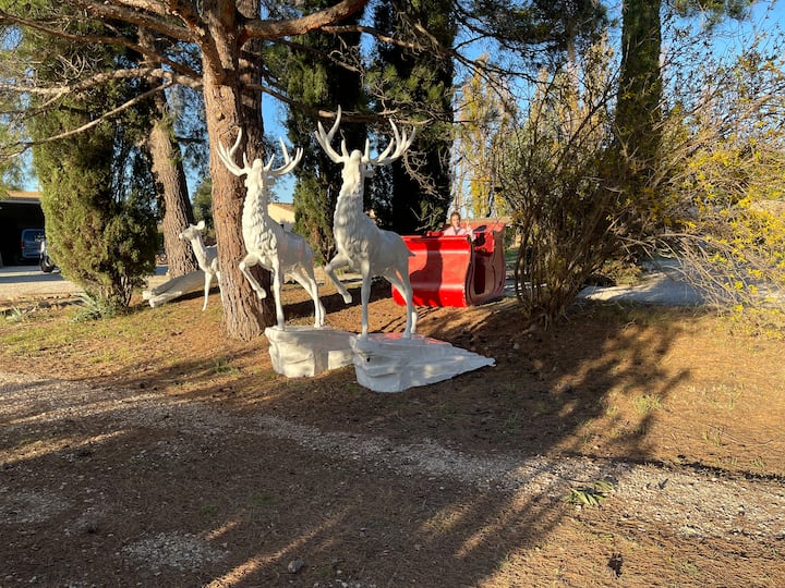 Noel En Camargue à La Villa Toro - Saint-Martin-de-Crau