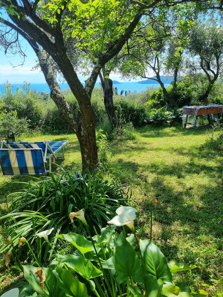 Patty's Cottage With Private Parking - Lerici