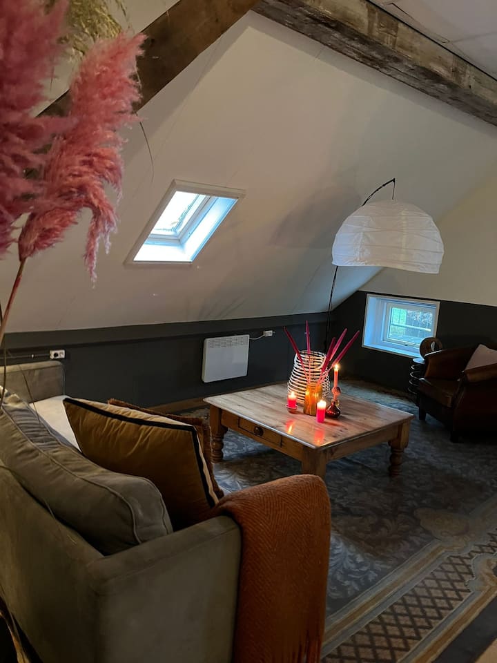 Appartement In Z-w Drenthe - Meppel