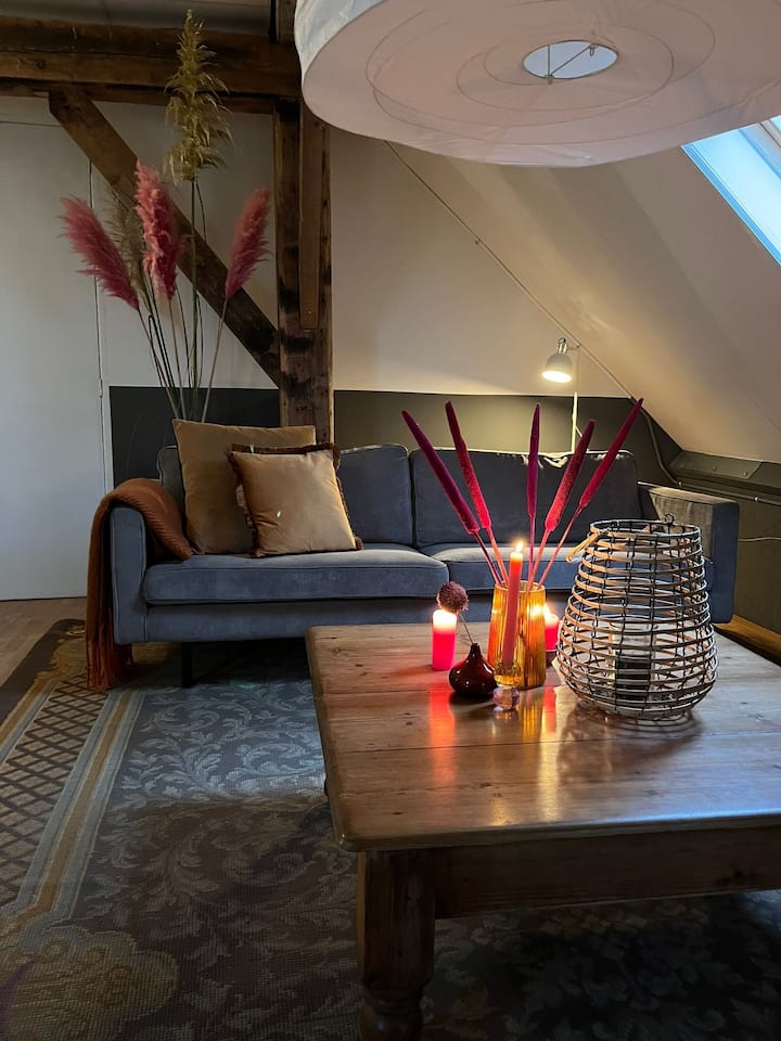 Appartement En Kas Met Houtkachel In Z-w Drenthe - Meppel