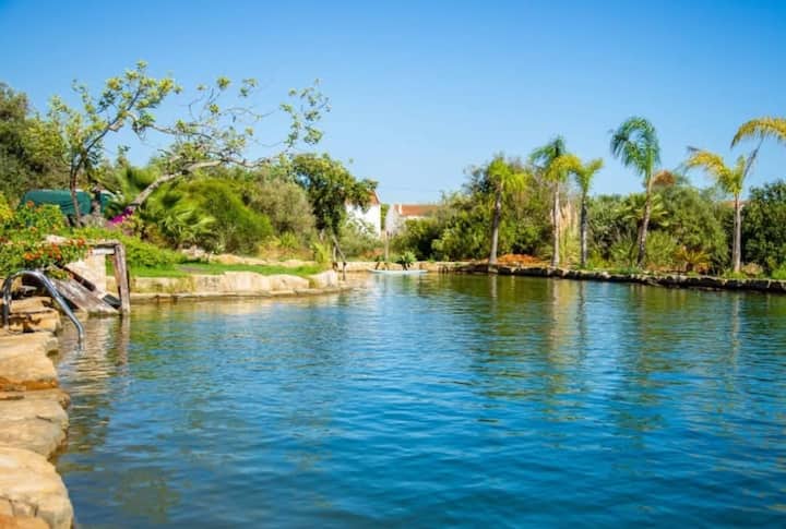 Haus T2 Im Oasis Camp Algarve - Lagoa