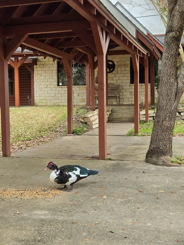 Ranch House In Magnolia, Tx
Aka The Zaiontz Ranch - Magnolia, TX