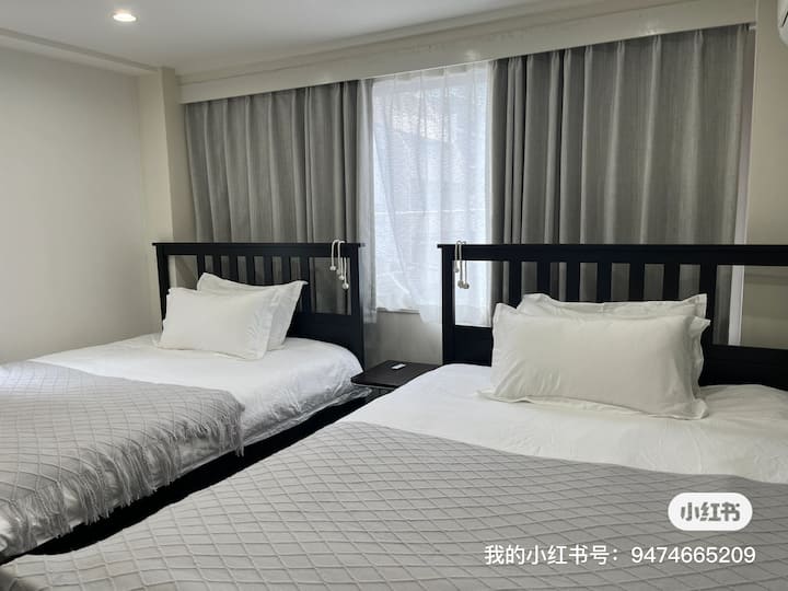 新田302东京秋叶原民宿成田羽田机场直达近地铁站 - Ginza