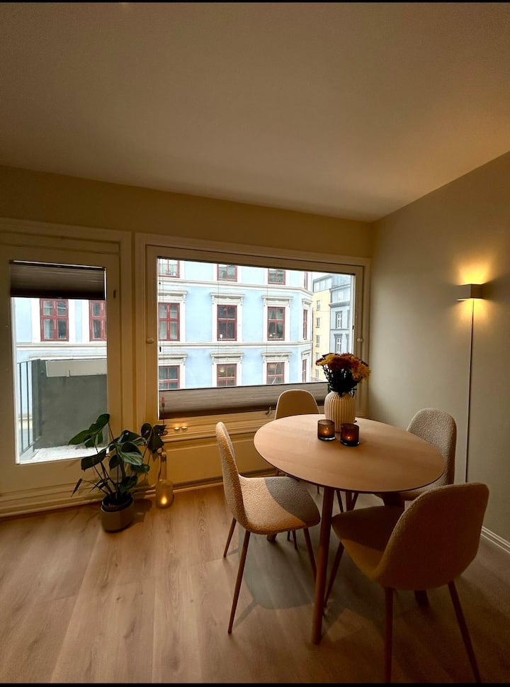 Leilighet I Hjertet Av Oslo - Oslo