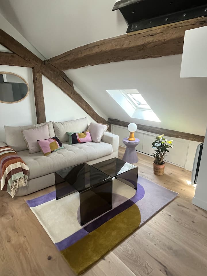 Charmant Appartement Dans Le Marais - Paris