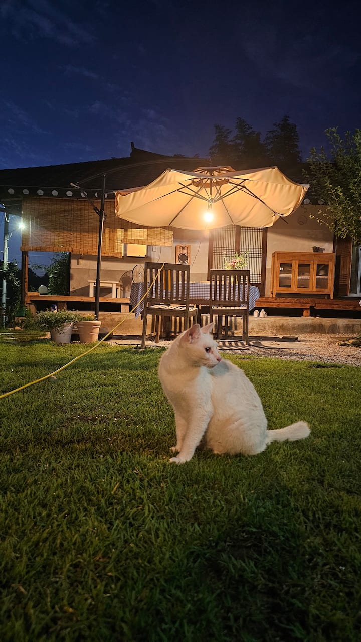 꽃냥이네 촌집 - Namwon-si