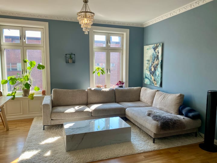 Koselig, Sentral Leilighet Med Balkong - Nær Alt! - Oslo