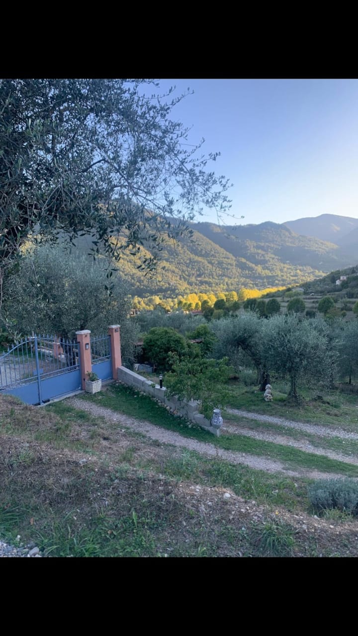 Le Petit Paradis - Sospel