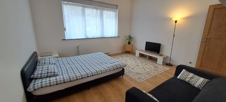 Private Big Room& Bath In European District - Brussels