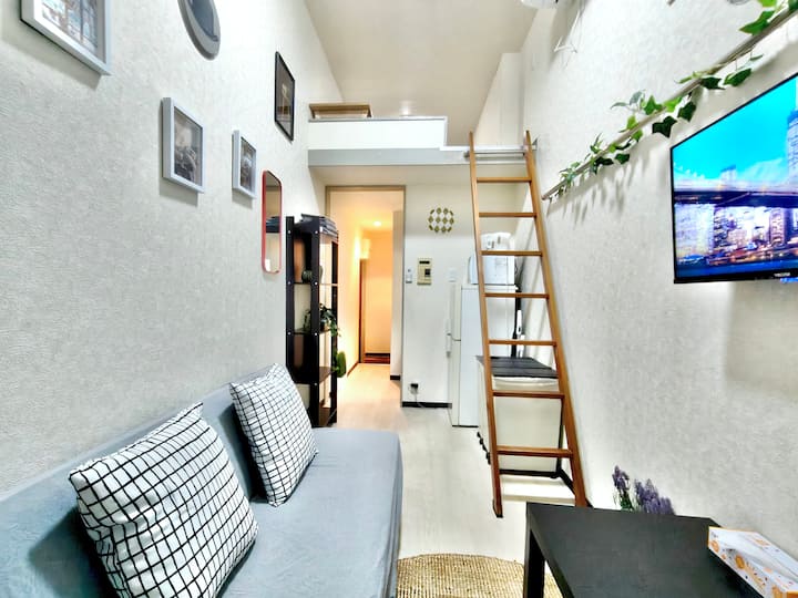 D&shin Apt 池袋车站步行8分钟独立公寓，wifi 阁楼和客厅，入住3人 - Ikebukuro