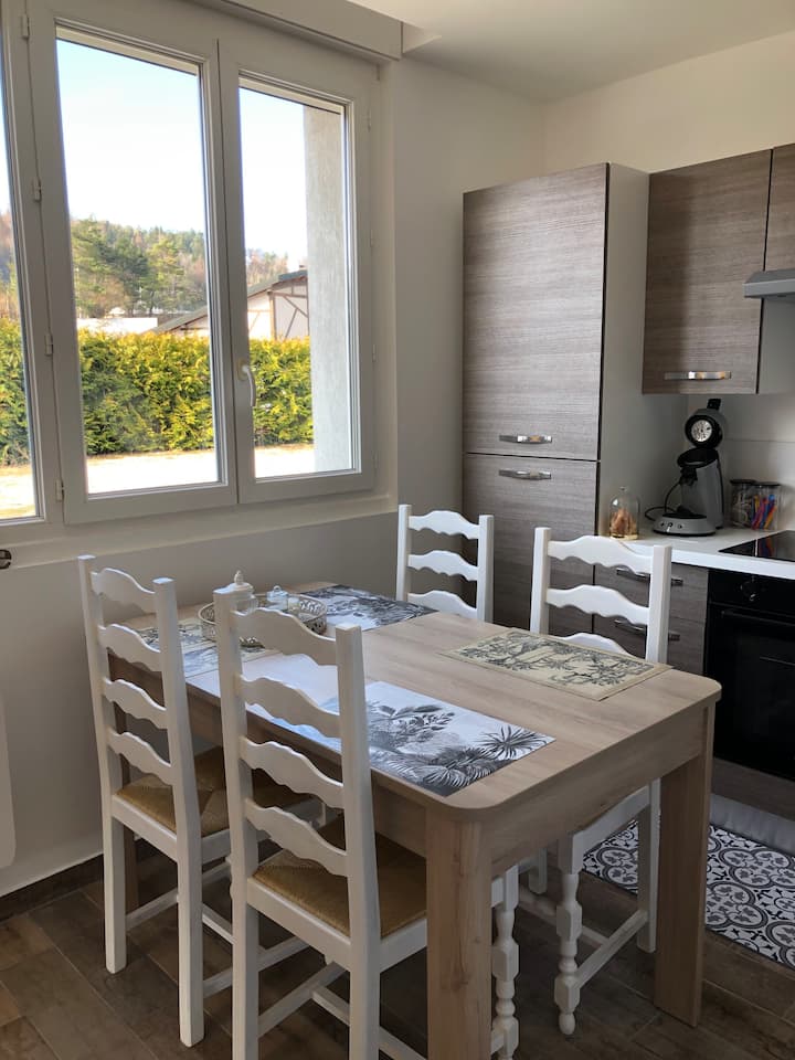 Appartement-proche-centre-ville - Oyonnax