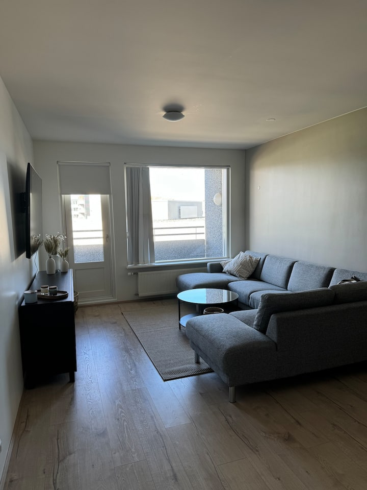 Great Apartment For You! - 冰島