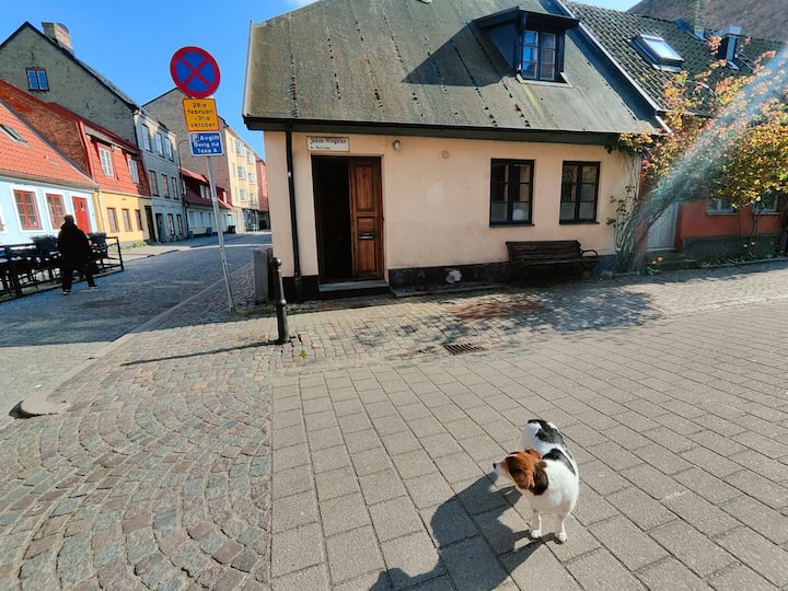 Stort Mysigt Hus Mitt I Malmö - Malmö