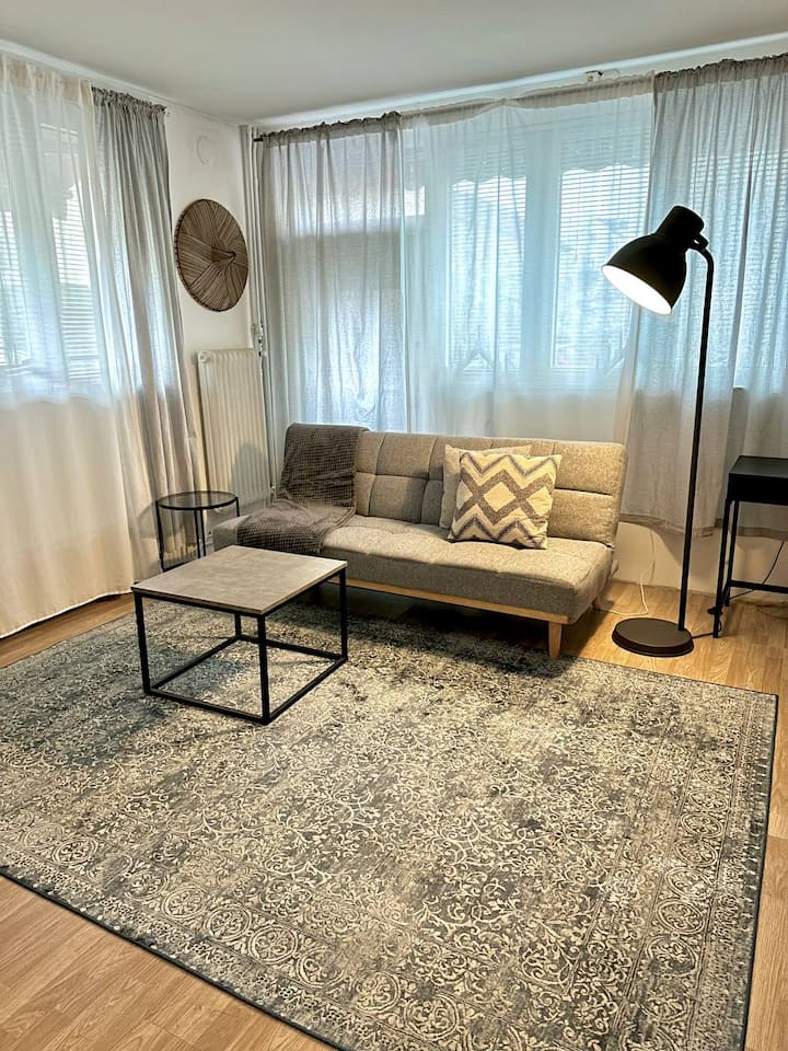 Cozy & Spacious Apartment In Majorna - Gothenburg