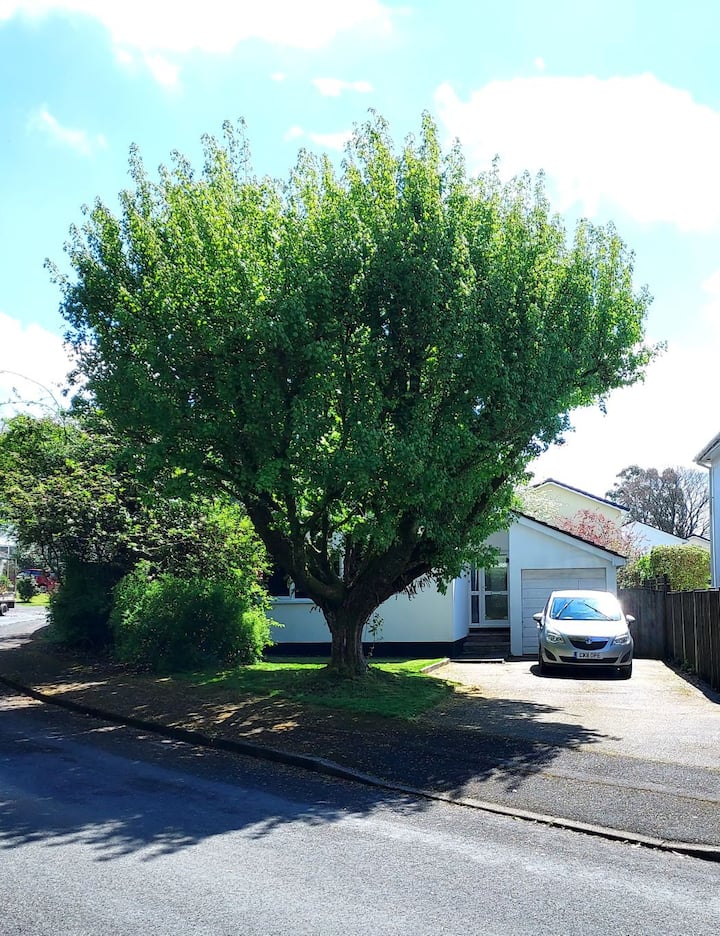 Beautiful, Peaceful Location! - Tavistock