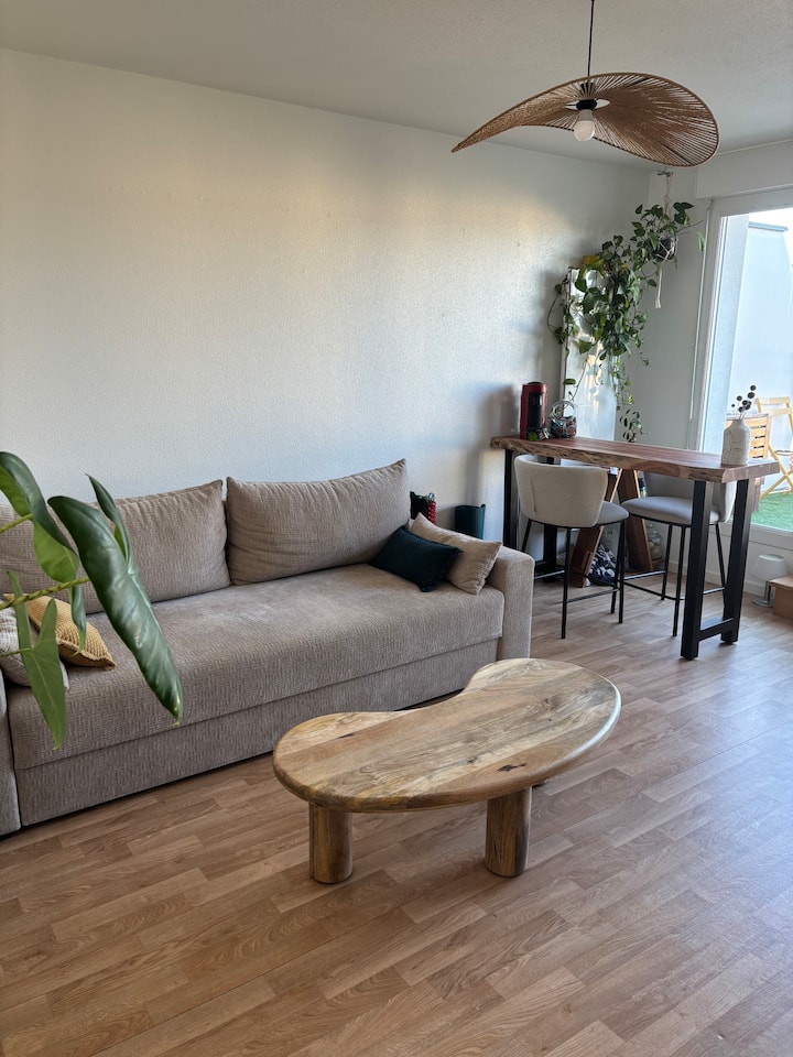 Appartement Cosy Avec Terrasse - Strasbourg