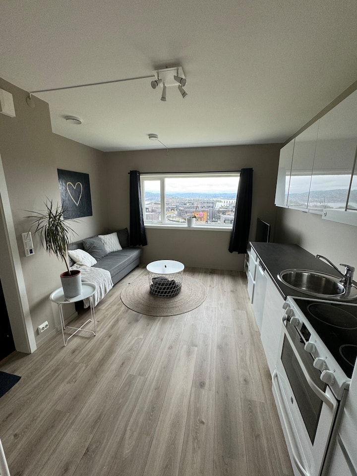 Leilighet I Kristiansand - Kristiansand