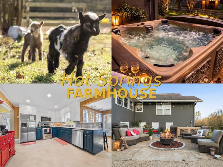 Animals, Hot Tub, Fire Pit, Museum In Hot Springs! - Hot Springs, AR