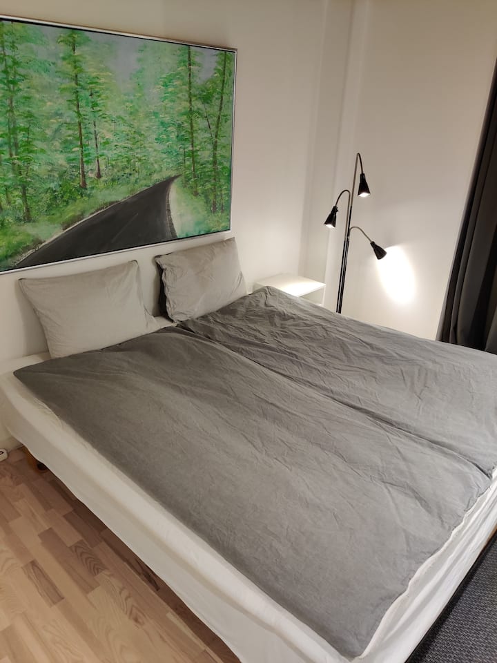 Værelse Med 16 M2 Badeværelse - Odense