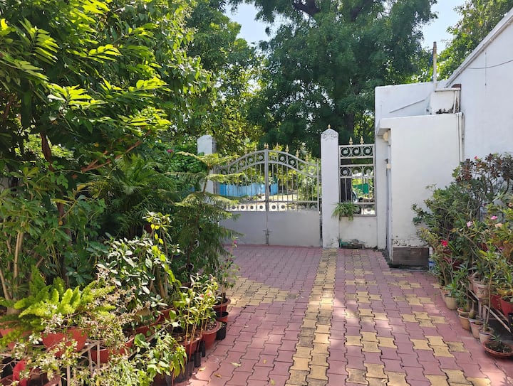 Safarnama - Kota