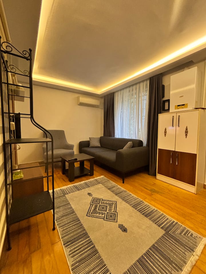 Cozy Garden-level Apartment Near Taksim Square - Estambul
