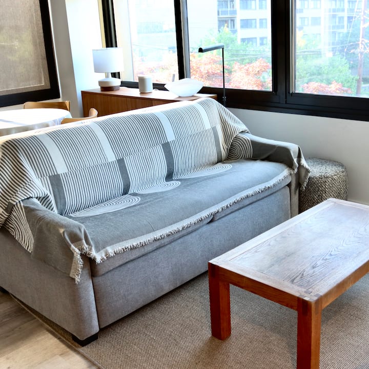 Beautiful Apartment Downtown Ss - Silver Spring, MD