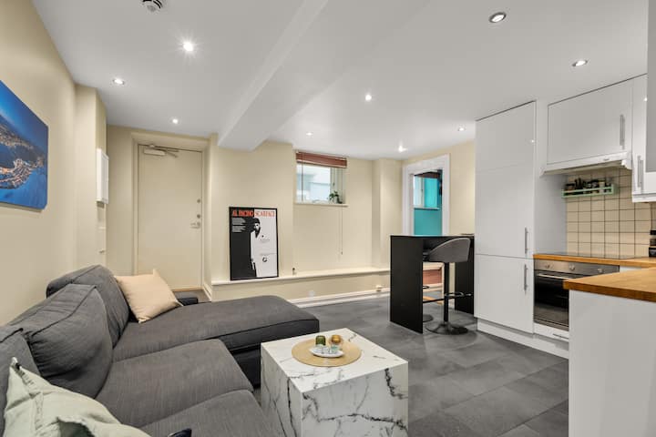 Sentral Leilighet Midt I Oslo - Oslo