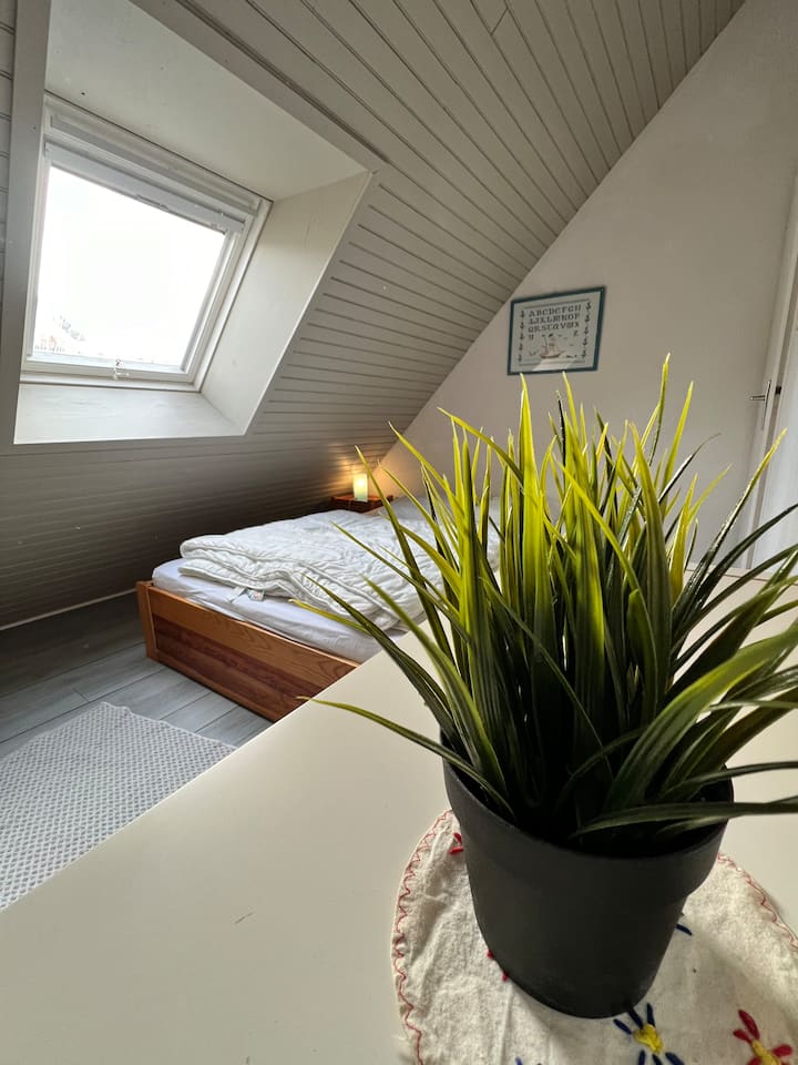 Appartement T1 Bis - 200m Du Port - La Trinité-sur-Mer