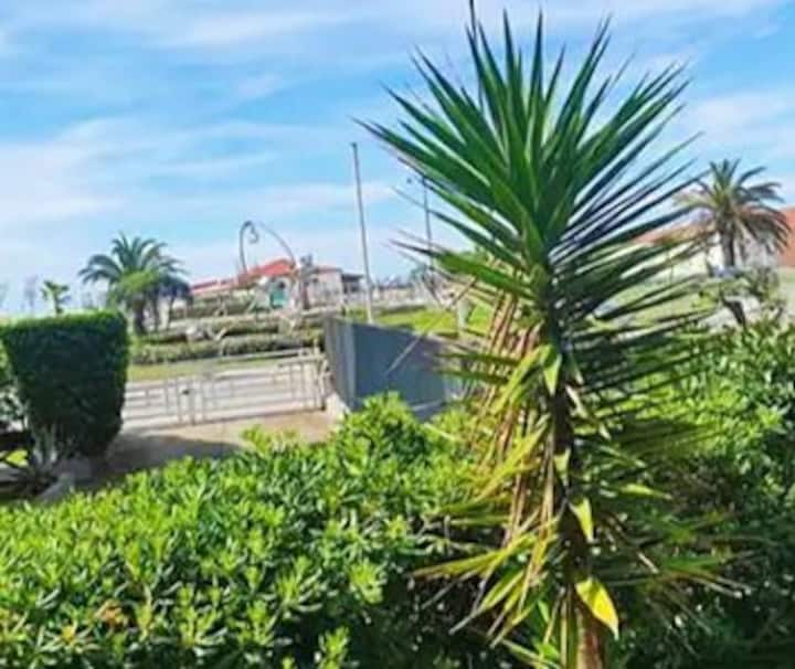 Viareggio Città Giardino Mare - Viareggio