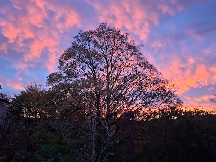 Wohnen In Der Natur - Wetter