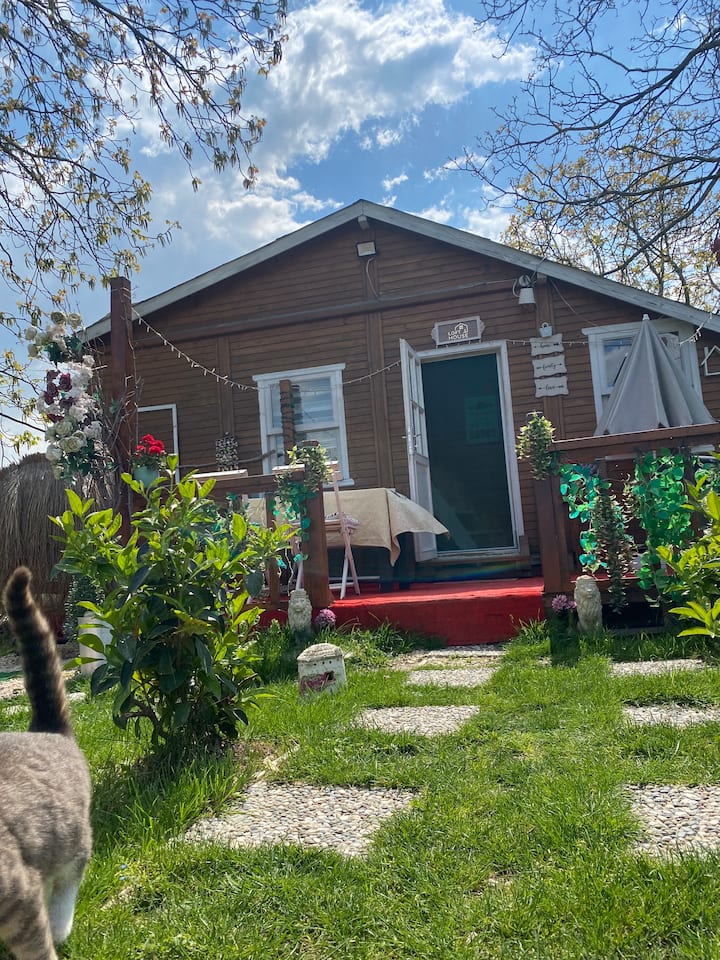 ŞEhrin Merkezinde Doğanın Içinde - Osmangazi