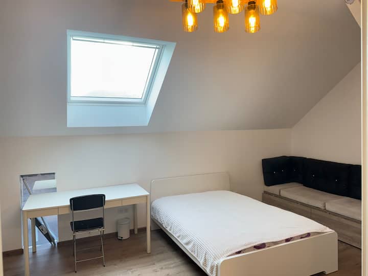 Appartement Neuf - Colmar