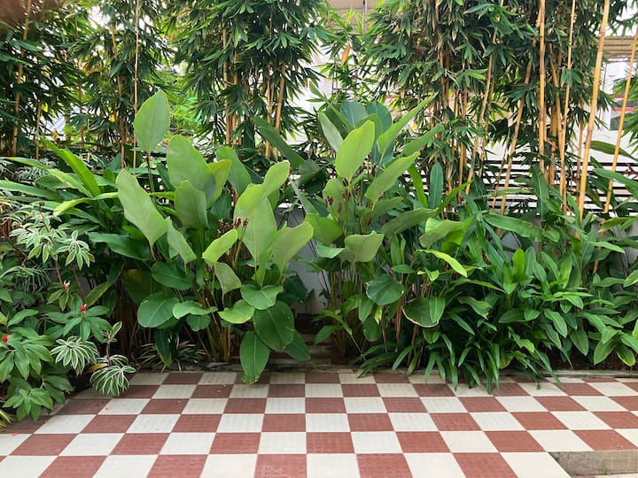 Serenity - Thiruvananthapuram