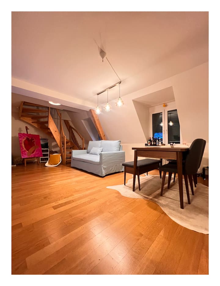 Zimmer Mitten In Zürich, Inkl. Dachterrasse - Zürich