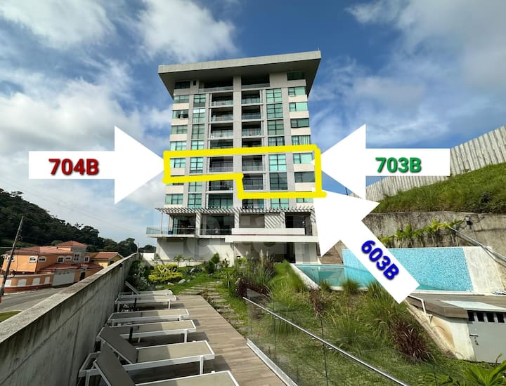 3 Apt With 12 Beds And 9 Bathrooms In Park Tower - San Salvador