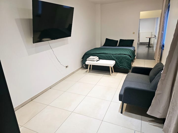 Appartement Ouvert Sur Une Pièce - Liège