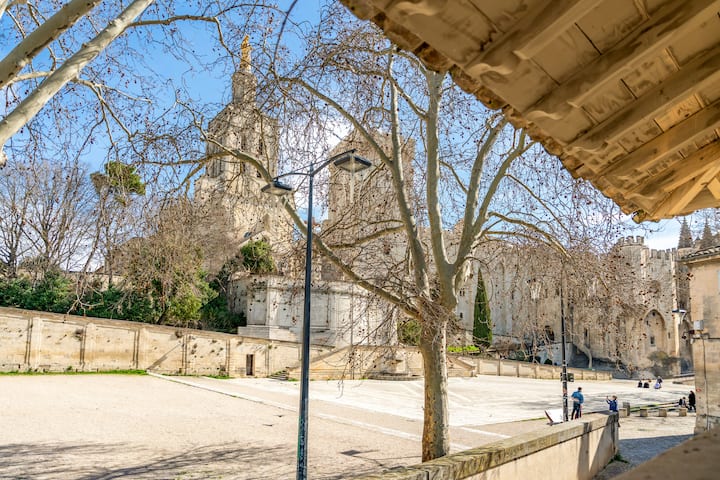Au Pied Du Palais Des Papes  Climatisé Parking - Avignon