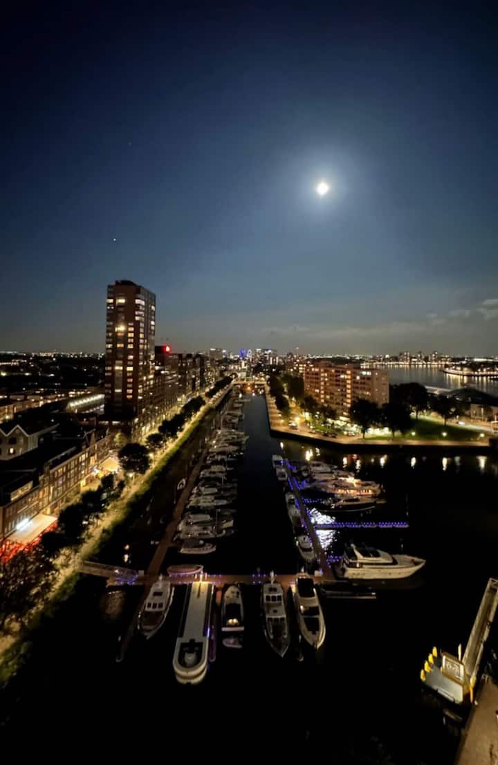 Riverside Oasis - Rotterdam